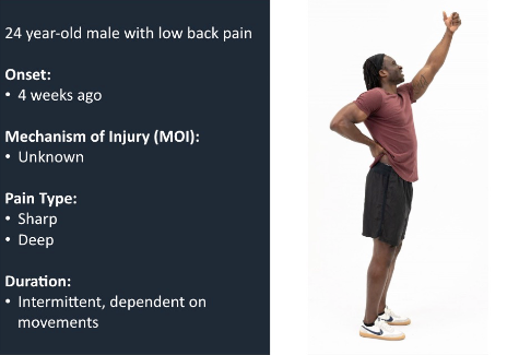 Mastering the ICF Model Part II: Gamifying Guideline Implementation ...